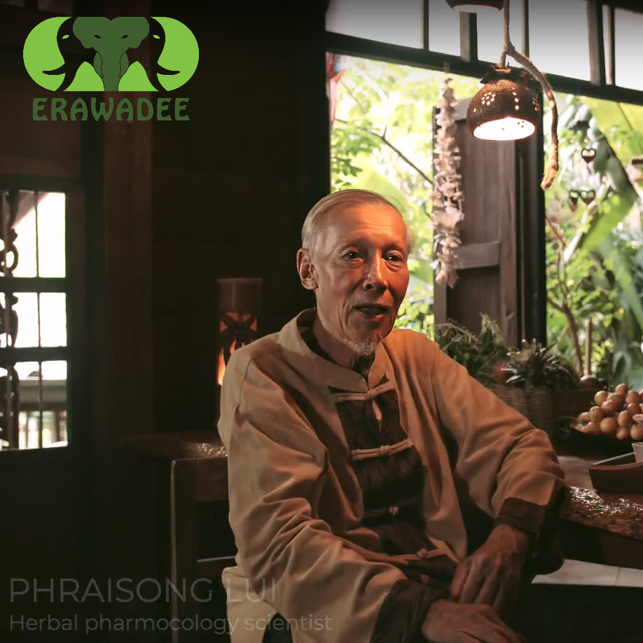 Erawadee – Obat Tradisional Thailand dan Kosmetik Alami 🐘