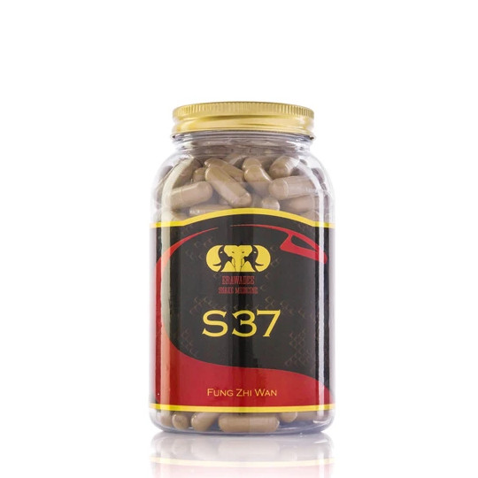 S37 Pengobatan Sistem Lokomotor Fung Zhi Wan 240 pil