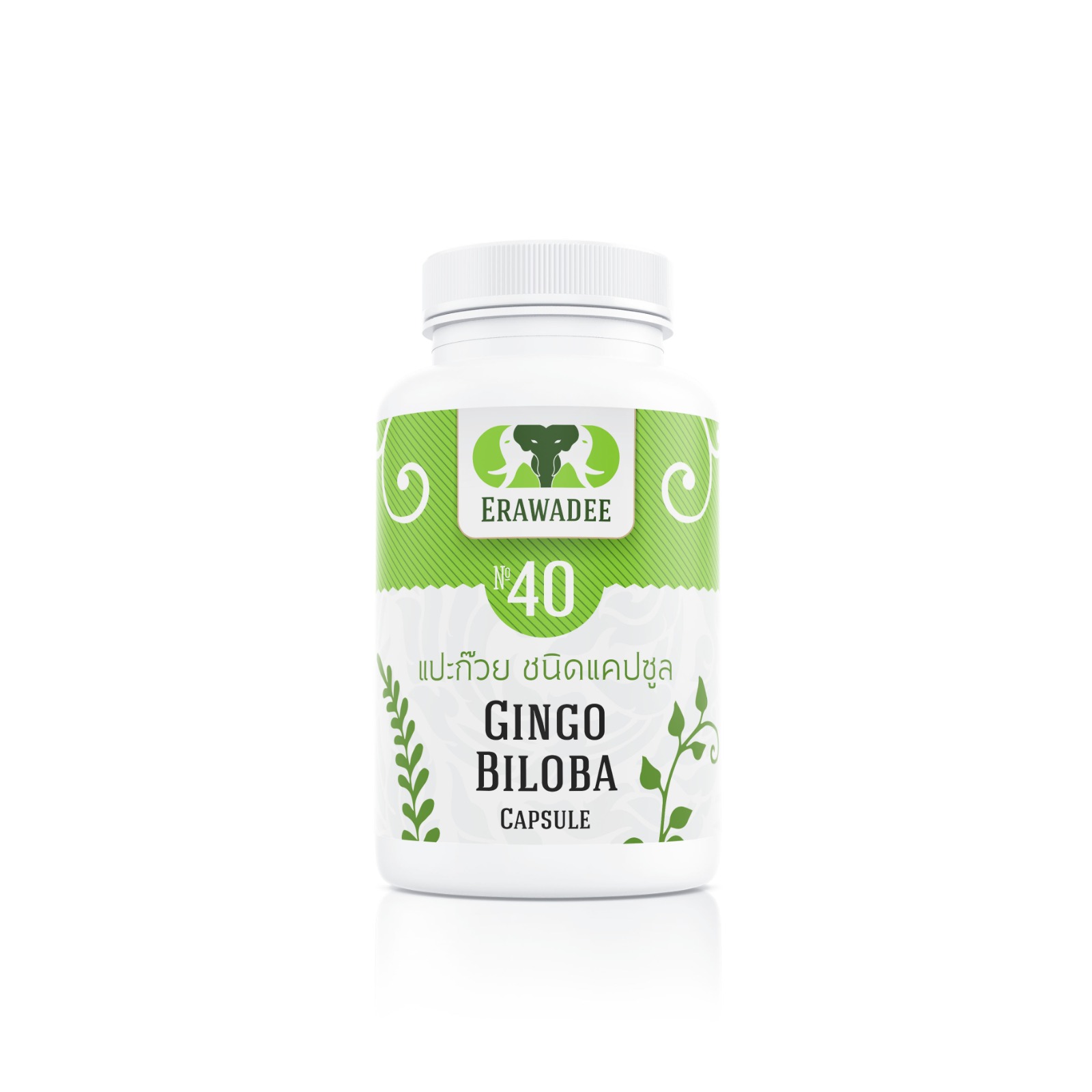 No.40 Ginkgo biloba (Medication for Cerebral Vessels)
